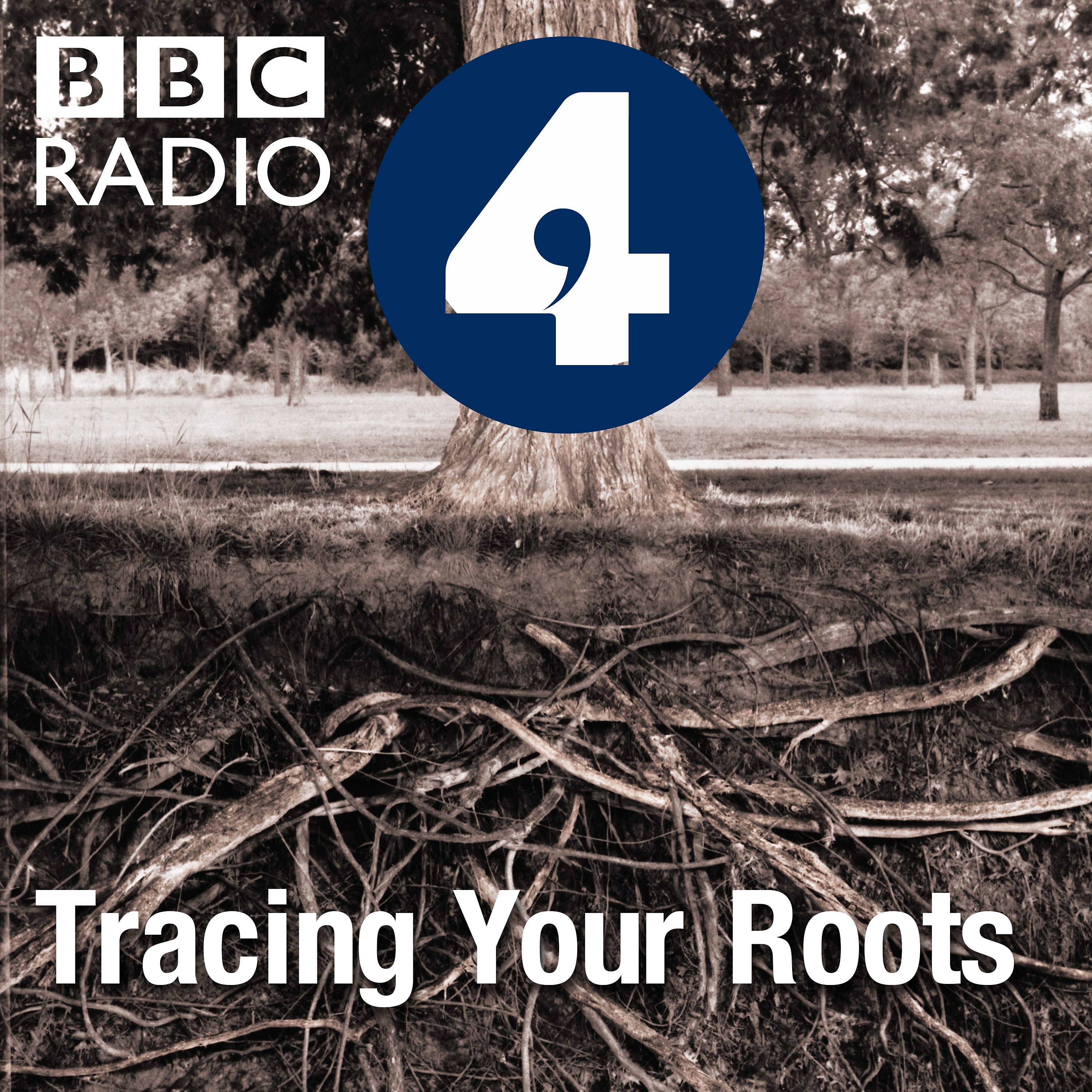 Tracing Your Roots Podcast - Caribbean Roots | Free Listening on ...