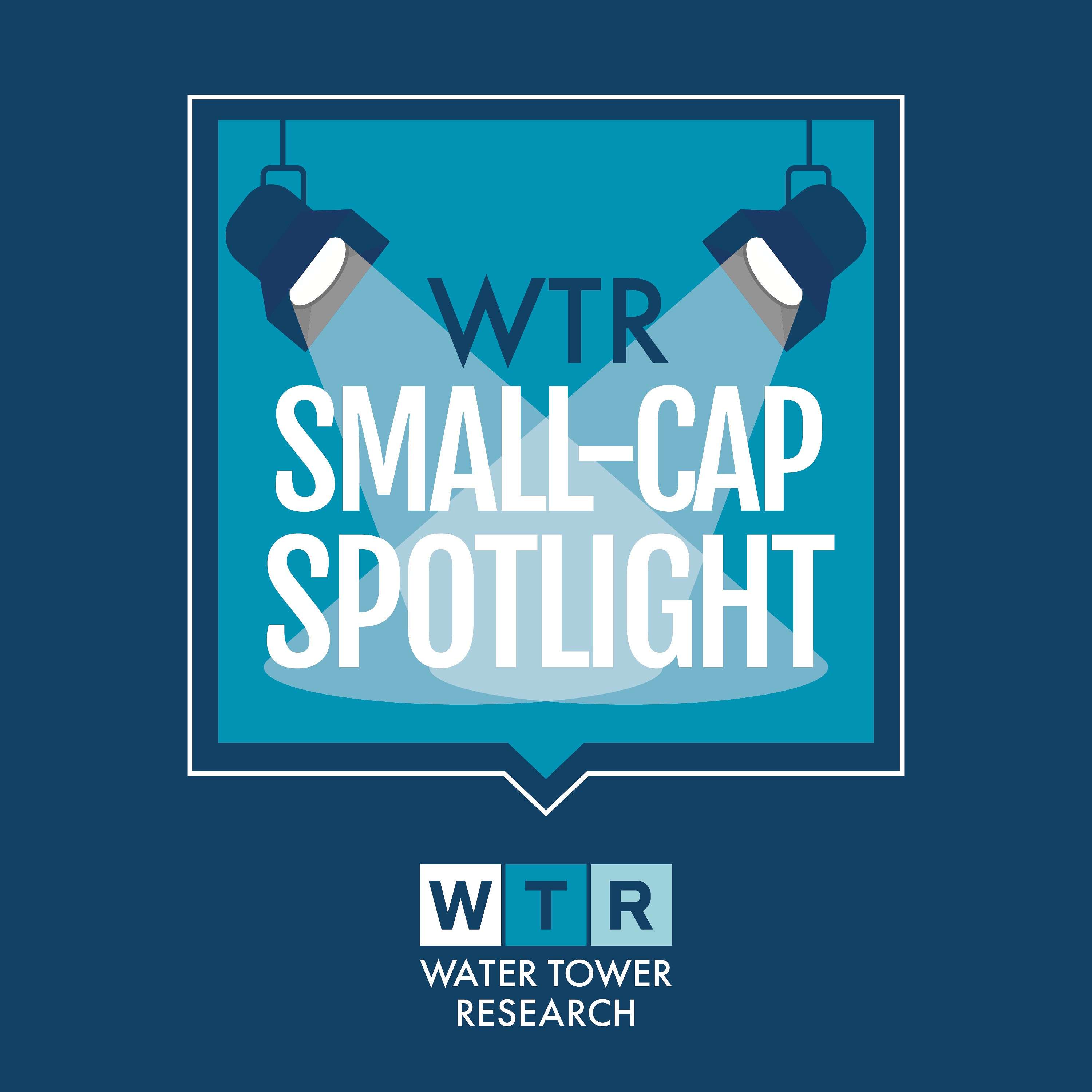 WTR Small-Cap Spotlight Podcast - The "Cost of Equity" Pivot - Why ...