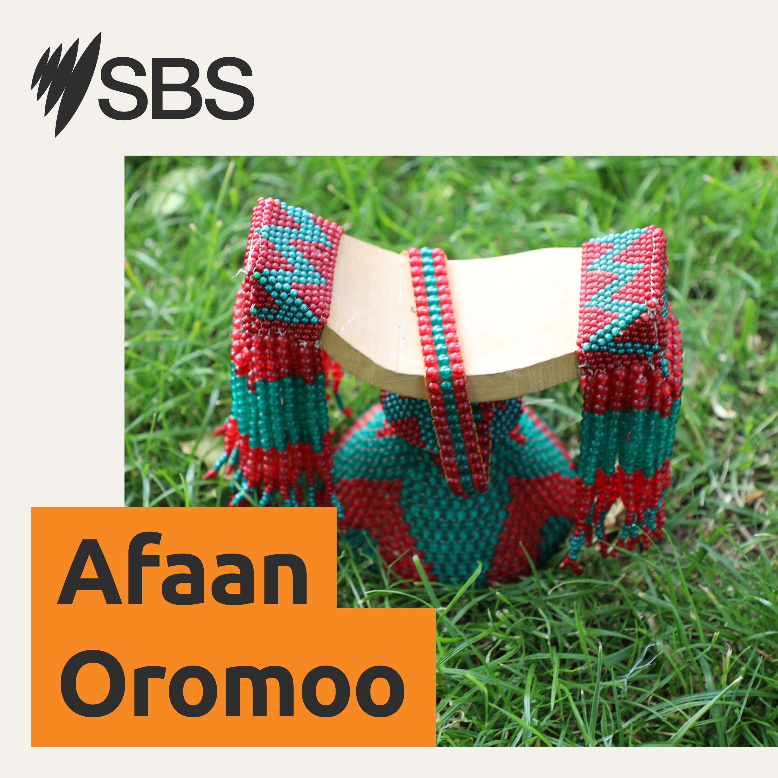 SBS Afaan Oromoo Podcast - #97 Complimenting someone’s style (Med ...
