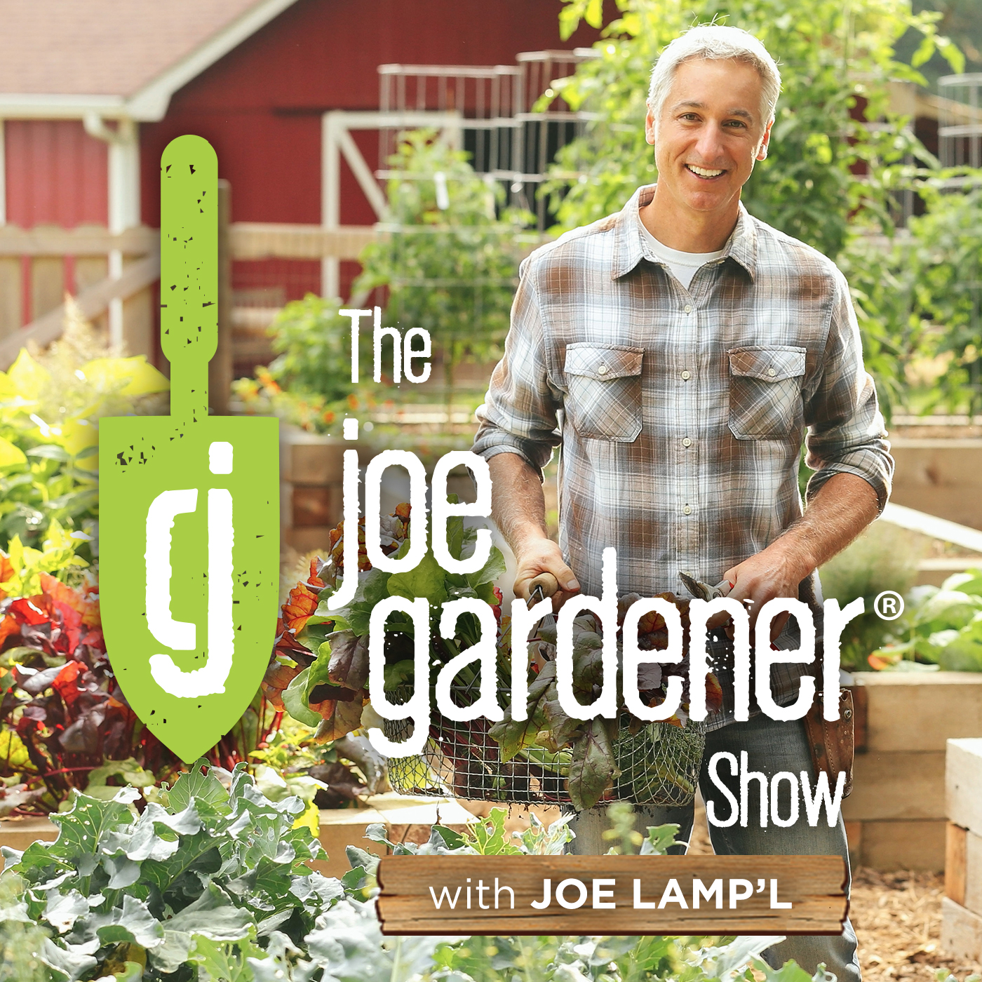 The joe gardener Show - Organic Gardening - Vegetable Gardening ...