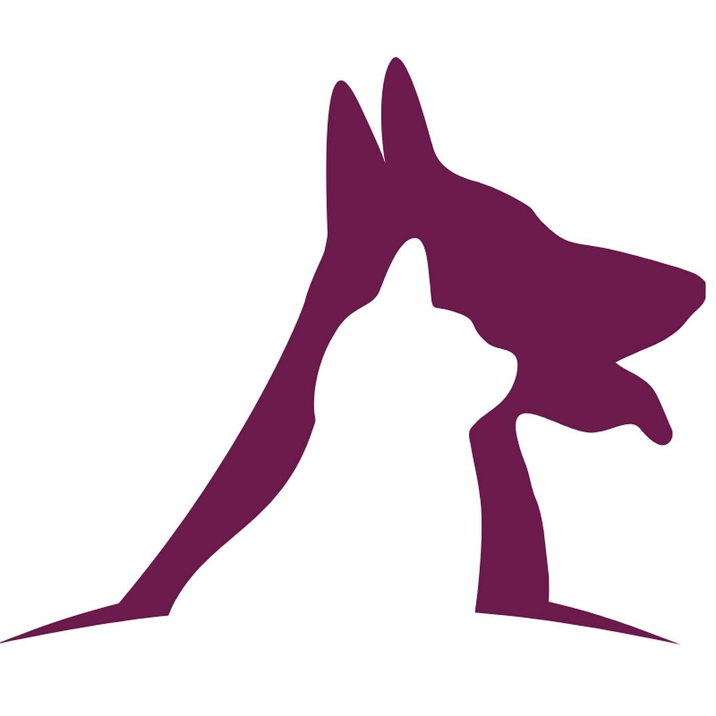 Dog Talk ® (and Kitties Too!) Podcast - “A Beautiful Risk” is a ...