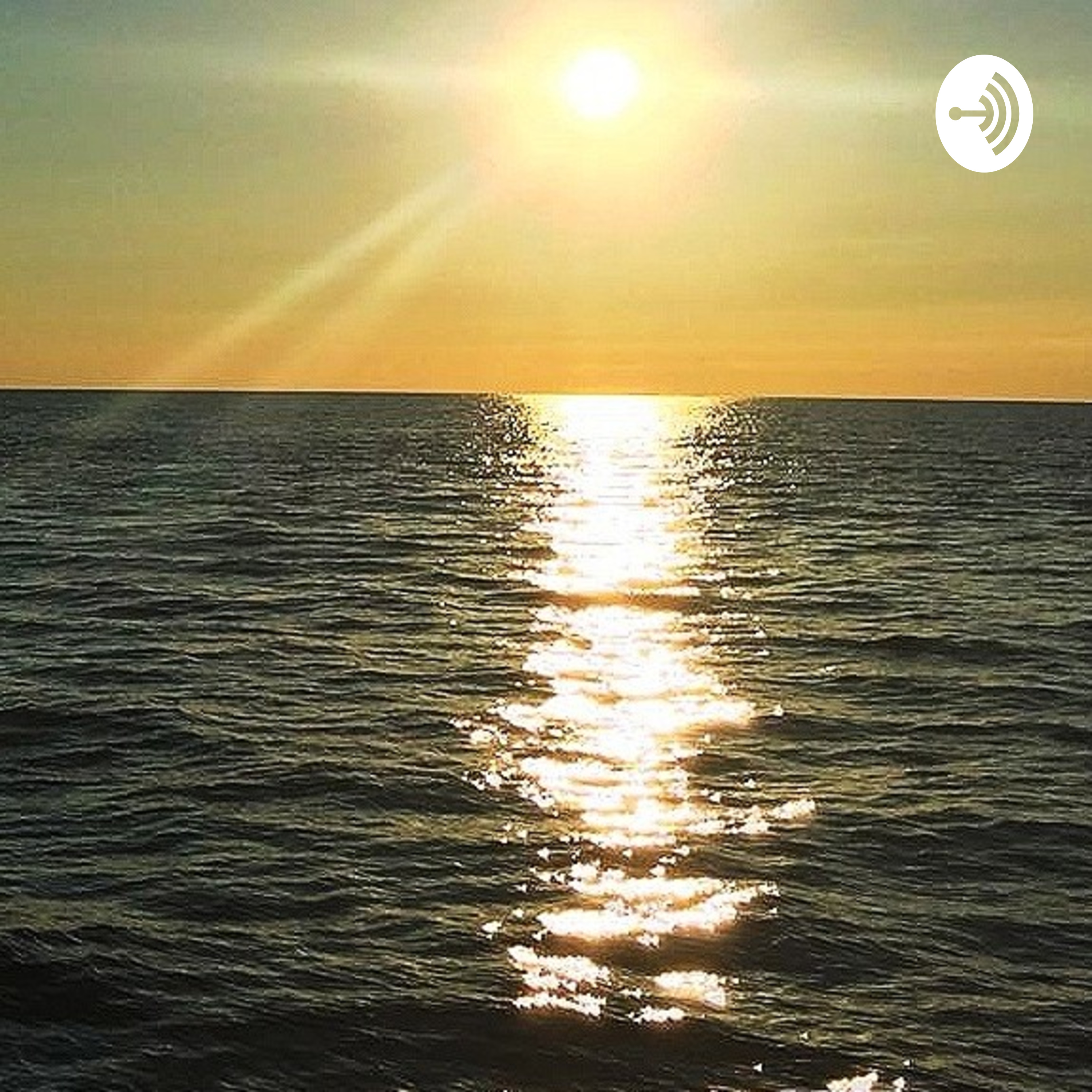 Ocean Matters Podcast - We’ve done it before’: how not to lose hope in ...