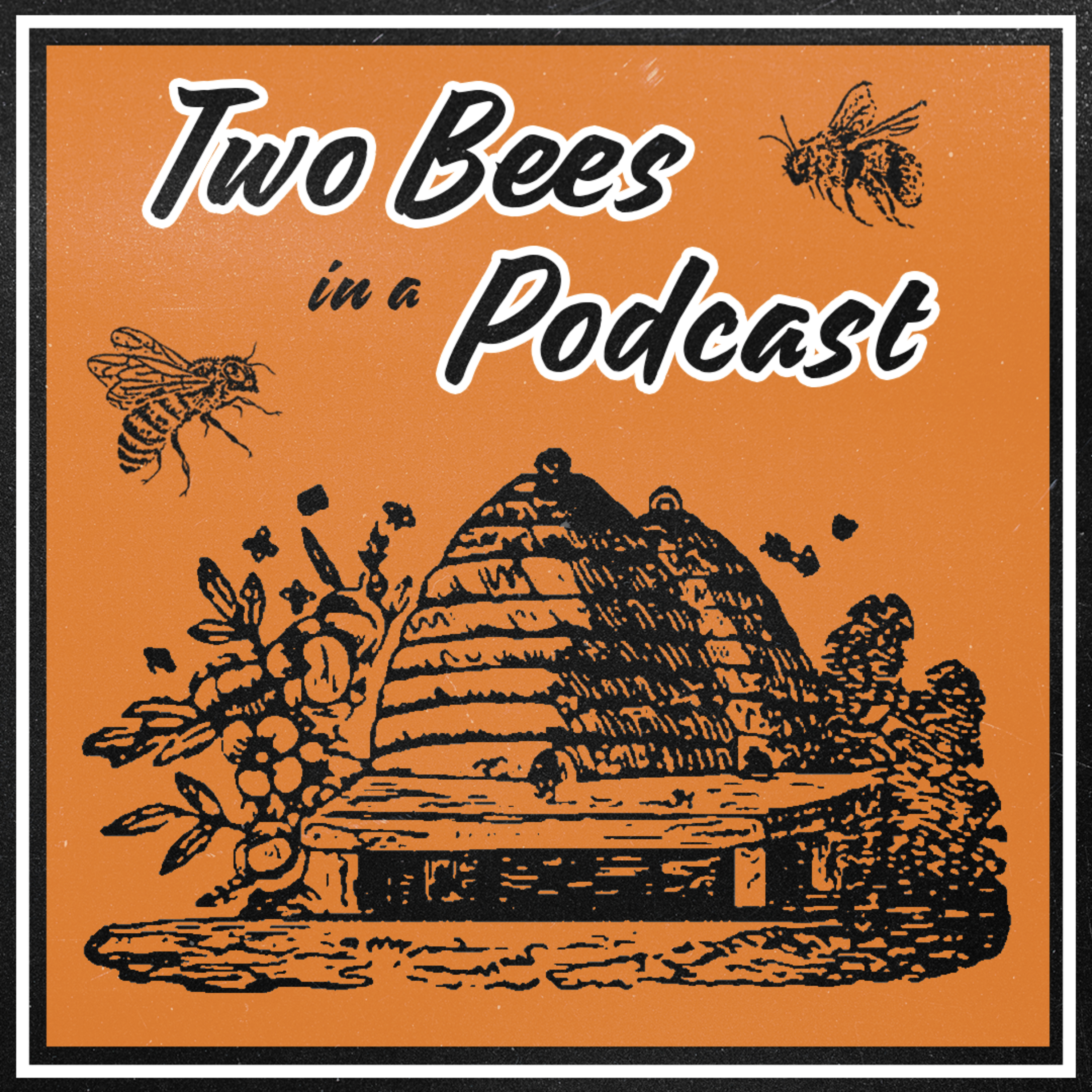 Two Bees in a Podcast - Episode 177: Doctor Keith Delaplane on ...