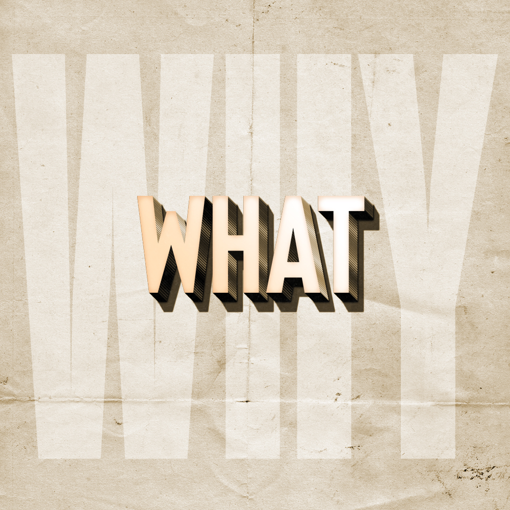 The Why Behind the What The Why Behind the What