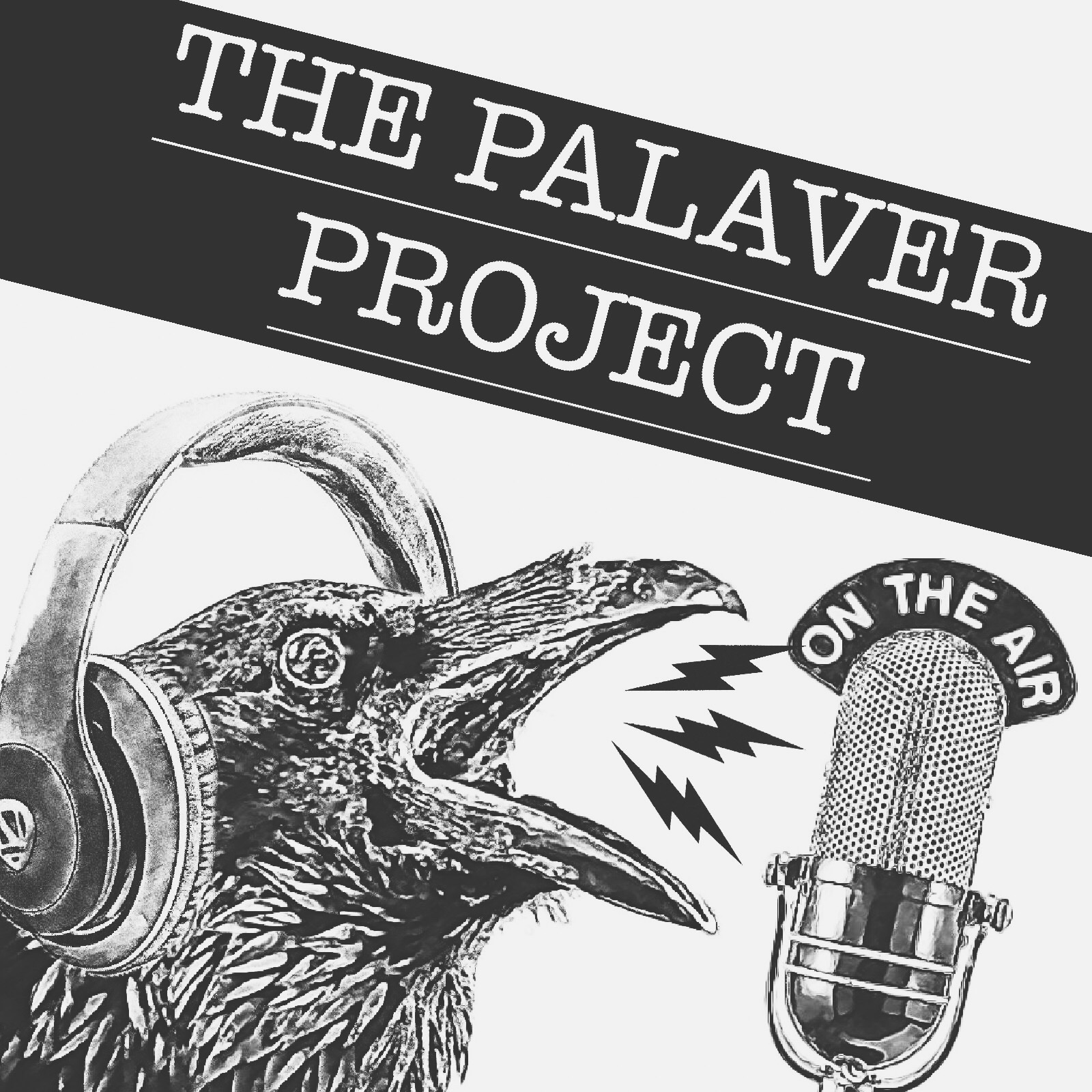 The Palaver Project