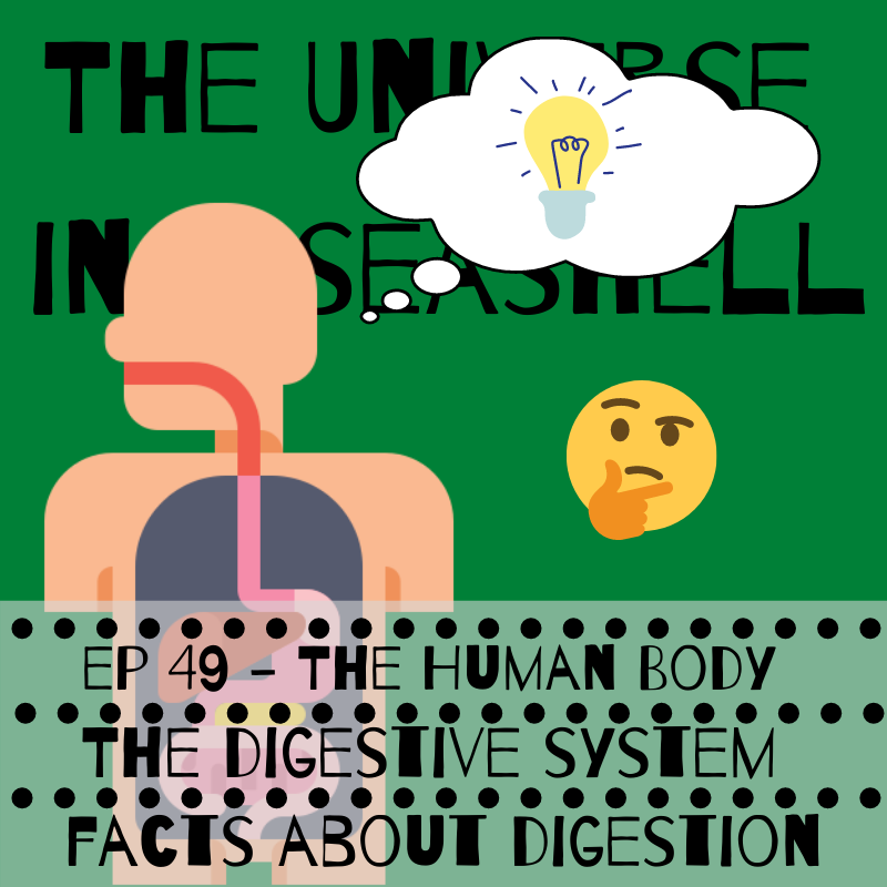 Five Interesting Facts About The Digestive System