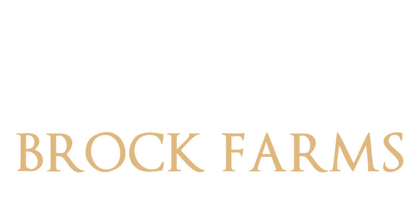Brock Farms Angus Cattle Open House with David and Katie Brock